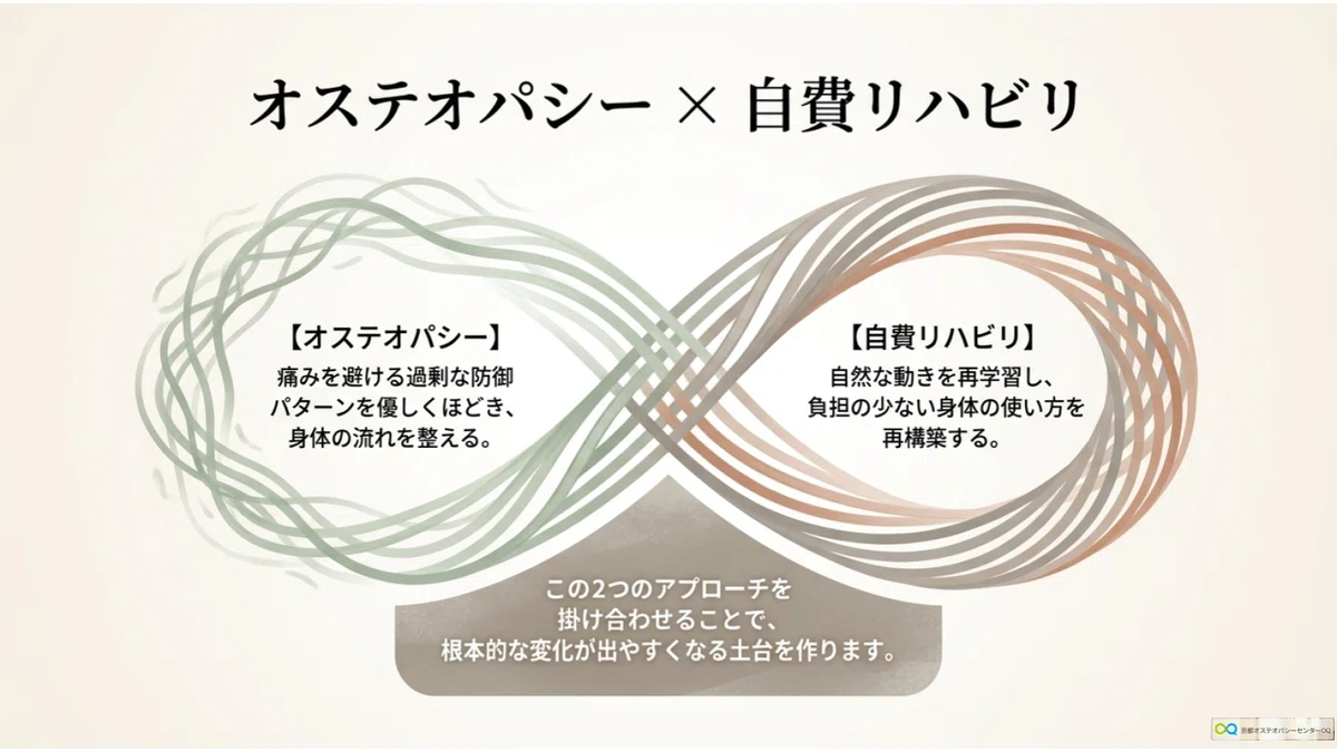 椎間板ヘルニアの保存療法 ― 手術以外の道を、長見で組む｜Kyoto Osteopathy Center OQ