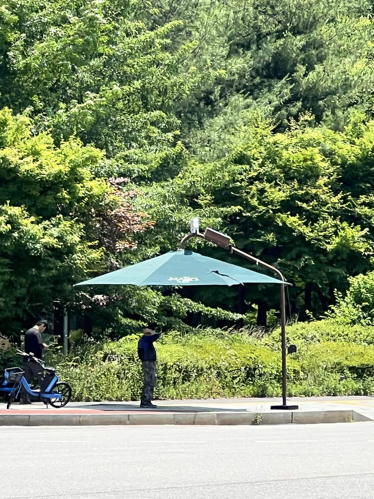 #126 ソウルの夏を救う“街の日傘”がすごかった｜KenKen