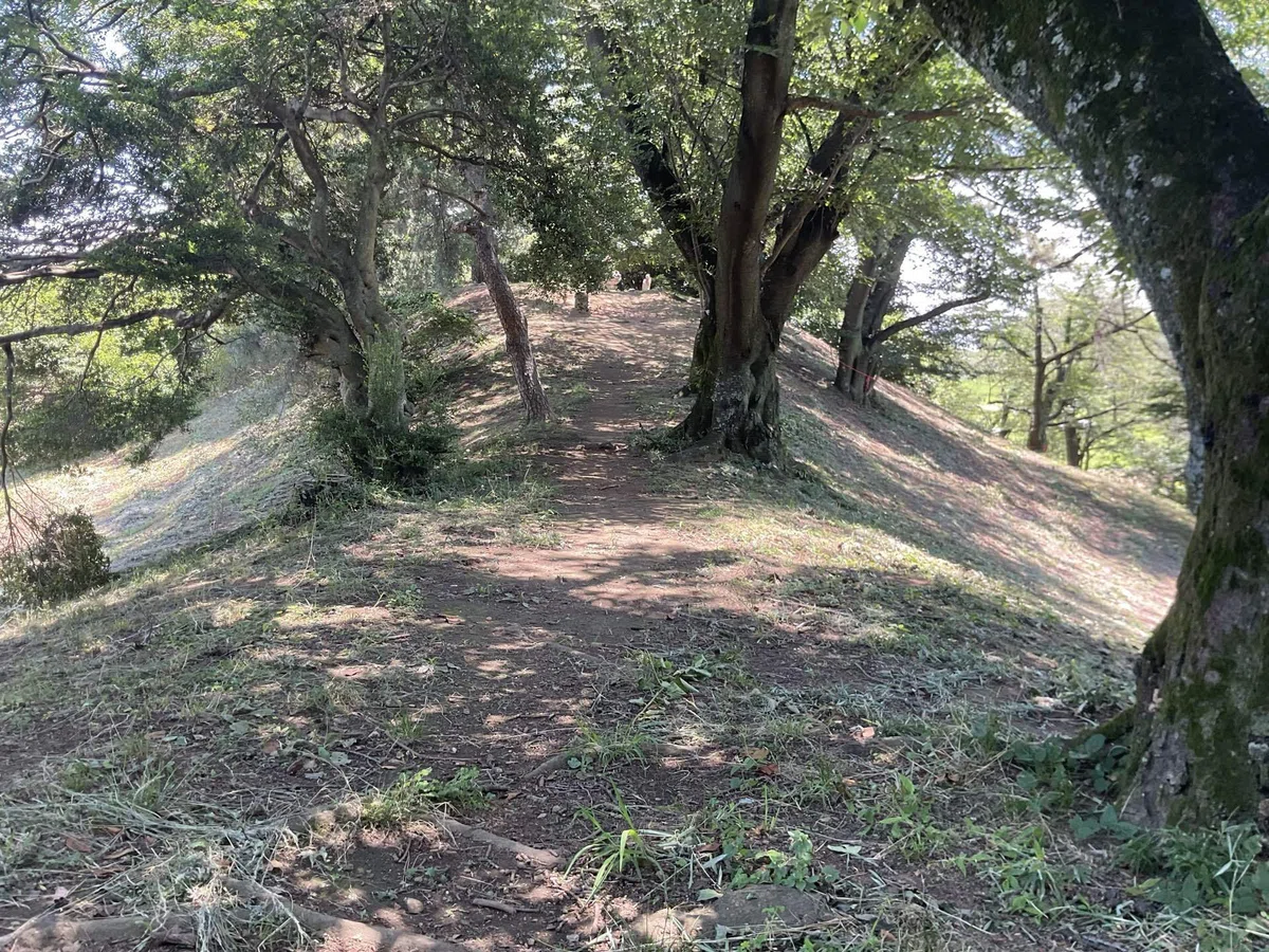 【群馬】上野国の古墳③：前編（白石古墳群・日高遺跡）｜タンジマート【古墳巡り】