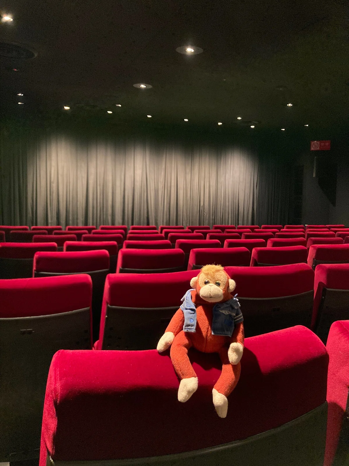 映画「マイケル」を見て、ぬい好きなのか！仲間だ！と思った★さて、真面目な感想は、自分の人生をマジで見つめ直した｜コミュニティカフェ、ぬいぐるみ ...