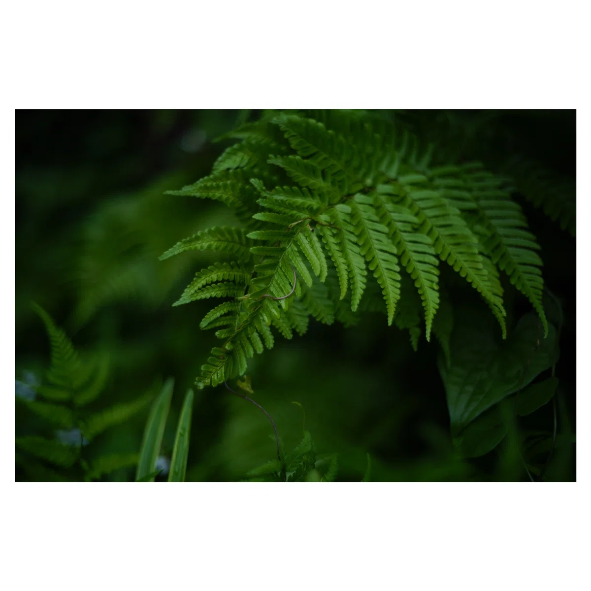 2026/6/9｜shin ikegami
