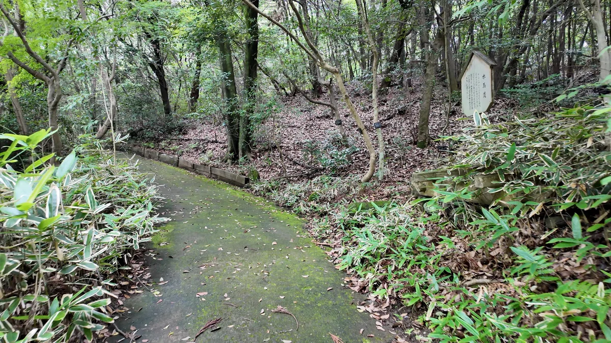 【東山植物園】森・池・庭園・彫刻—公園エリアだけで1時間｜Masami Ikawa