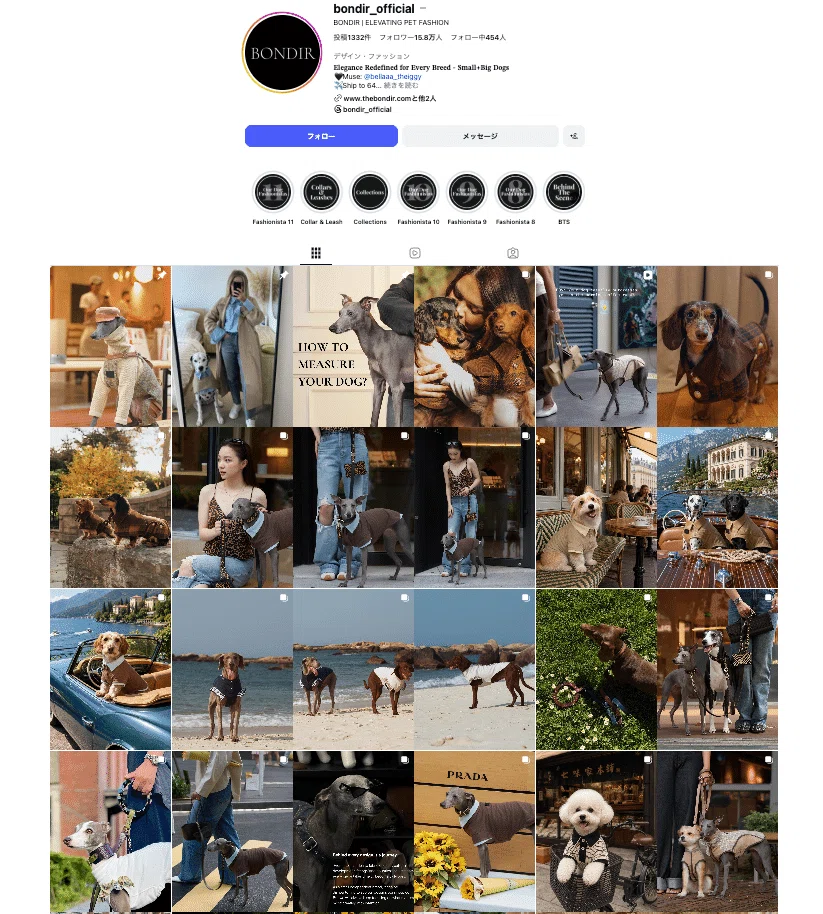 日本初のCanva副業、Etsyで1年4,900件売れた「犬服」の作り方を解説｜フリーランス主婦 Sayaka