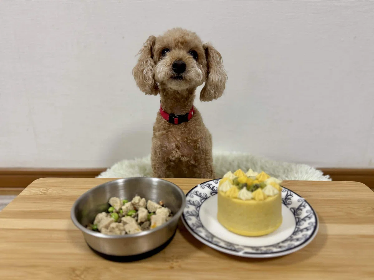 愛犬の誕生日｜mush(植田めぐみ）