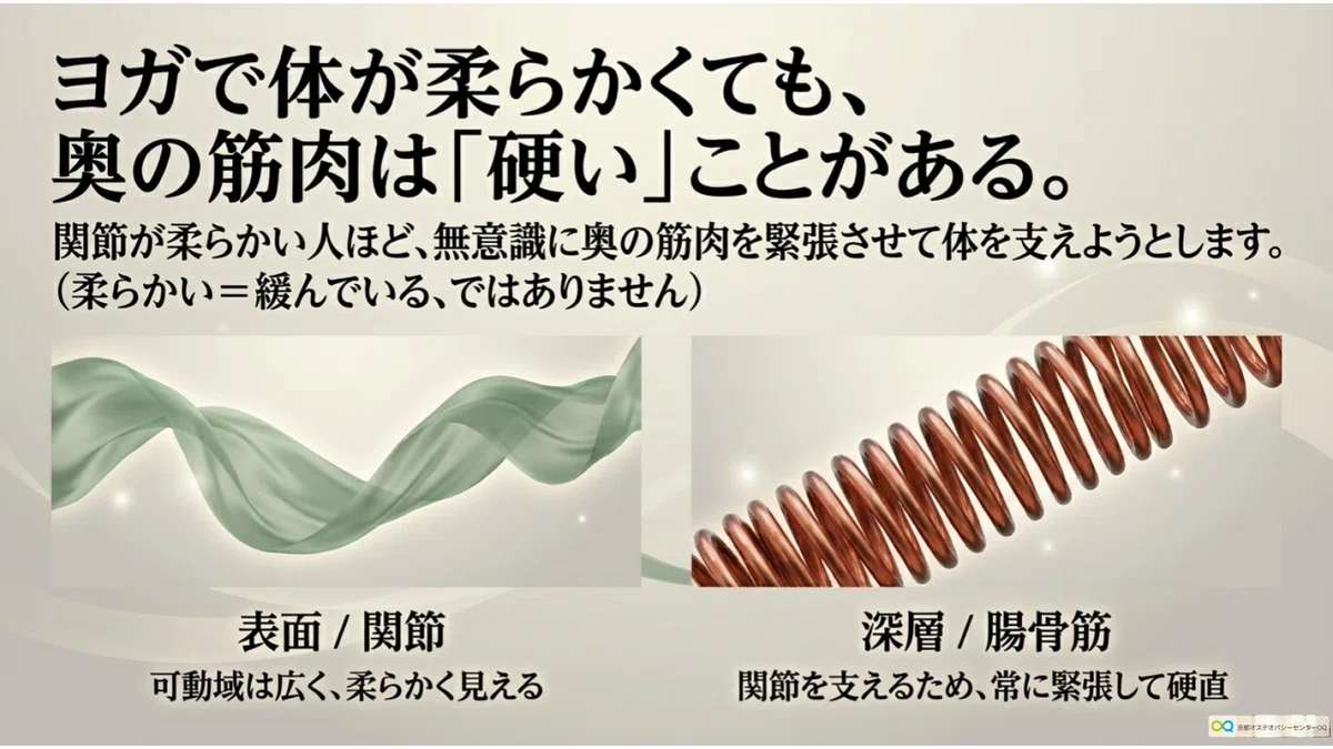 腸骨筋という見えない主役 — 股関節の奥に潜む「捻じれの連鎖」｜Kyoto Osteopathy Center OQ