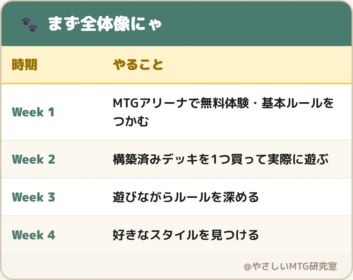MTGの始め方ロードマップ【初心者が最初の1ヶ月にやること】｜やさしいMTG研究室