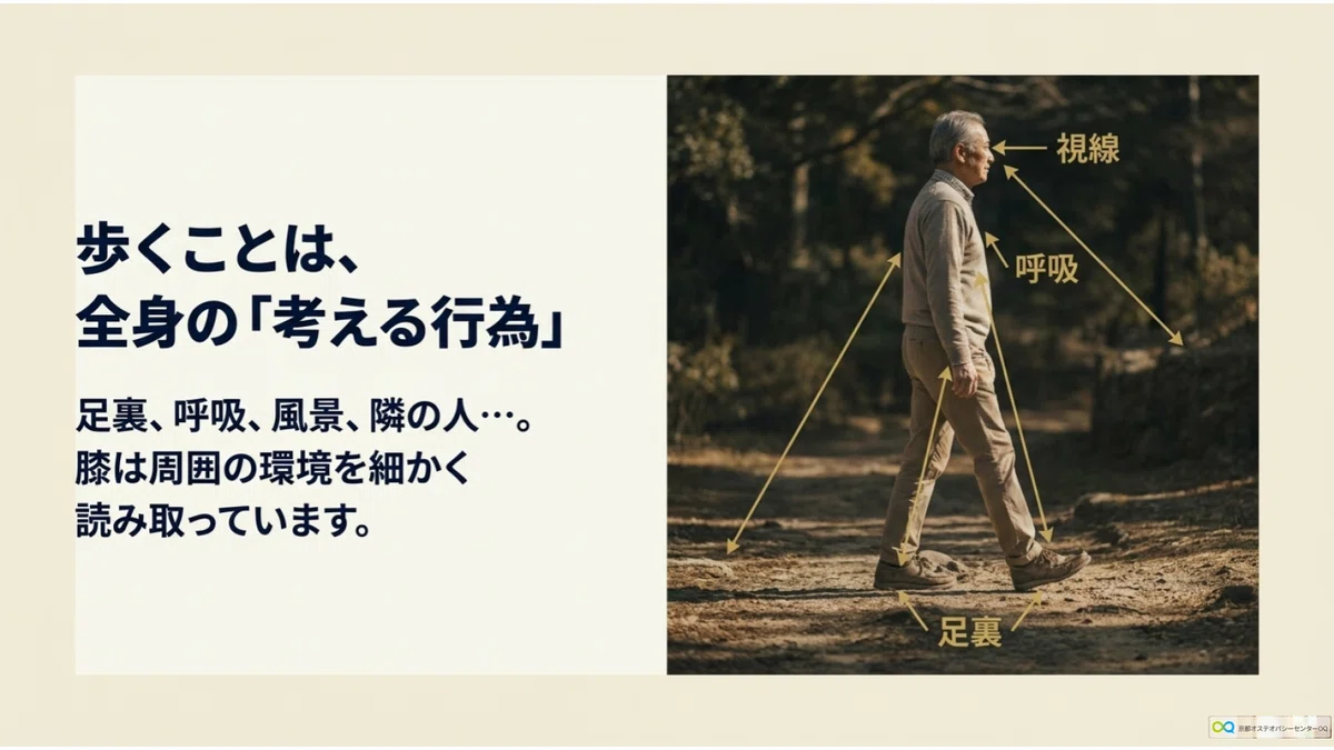 歩くことは「考えること」 ― 拡張する身体と環境の中で膝を整える｜Kyoto Osteopathy Center OQ