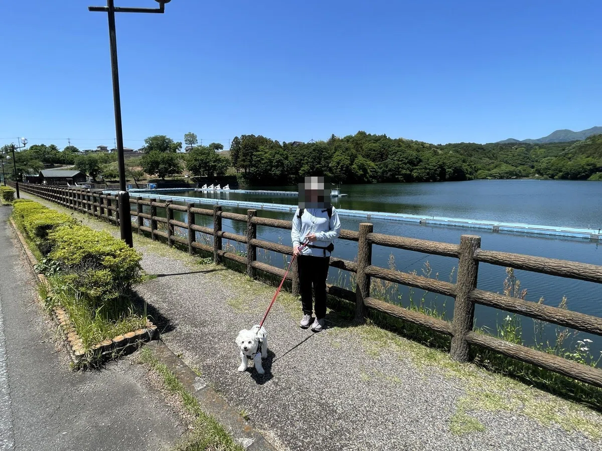 【群馬県高崎市】榛名神社（犬連れOK）｜まるパパ