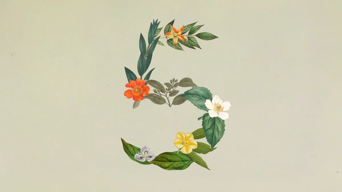 A Thorough Explanation of Claude Sonnet 5: The Reality of Being ...