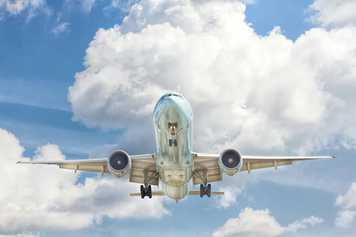 [JAL] Early Booking 60 Coupon distribution begins, save on domestic ...