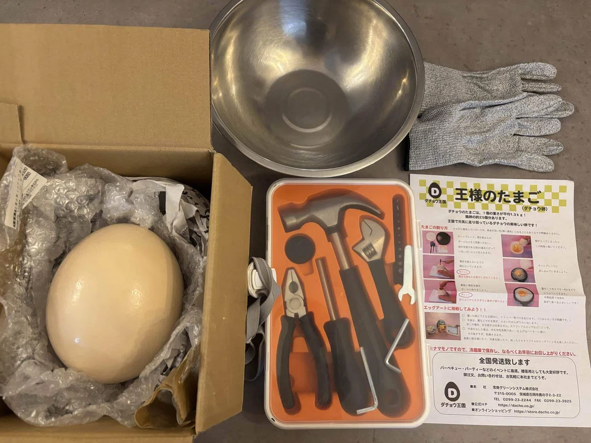 Let's make a pancake like Guri and Gura with an ostrich egg!｜とうどうゆう