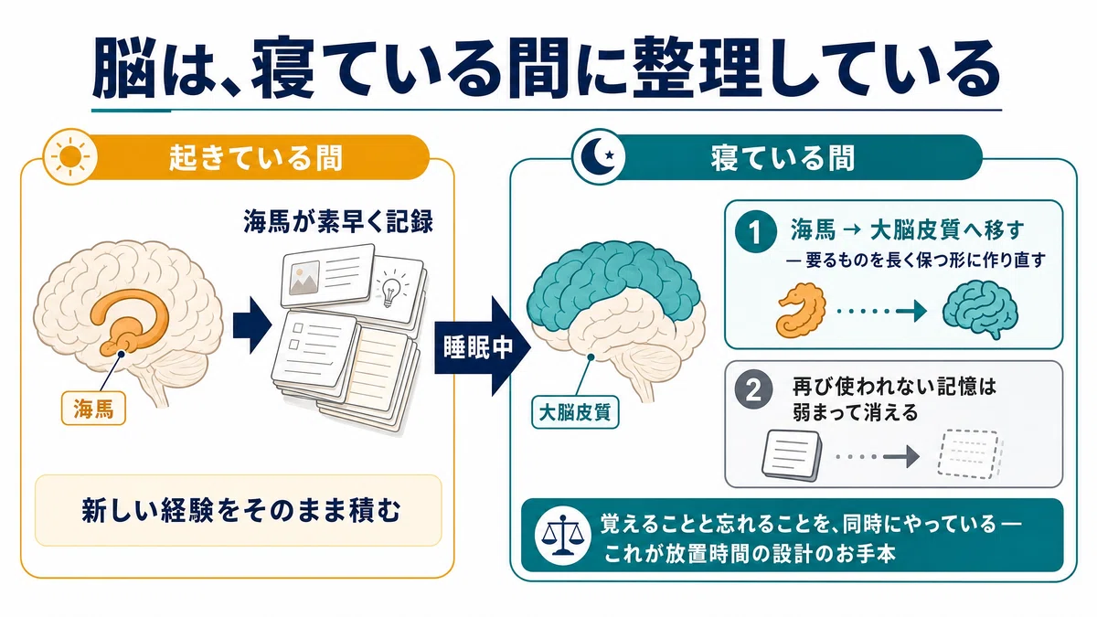 放置している時間に、記憶を整理する｜AI エージェント運用を設計し直す（第 7 回）｜佐藤 裕介（Engineers Hub 株式会社 代表）