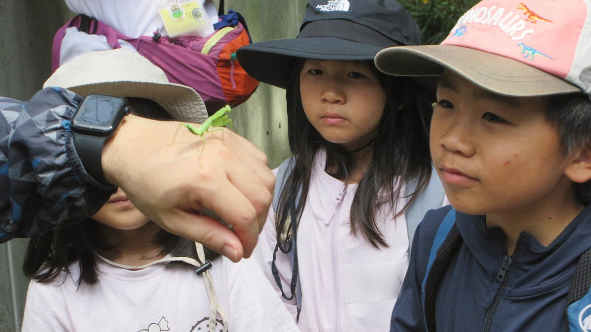Thinking from 'I found it!' | Activity Report: Let's Explore the Summer ...
