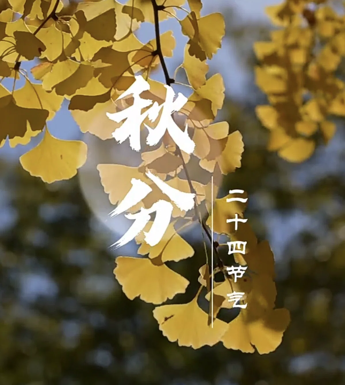 From White Dew to the Autumn Equinox—A New Learning Journey Begins ...