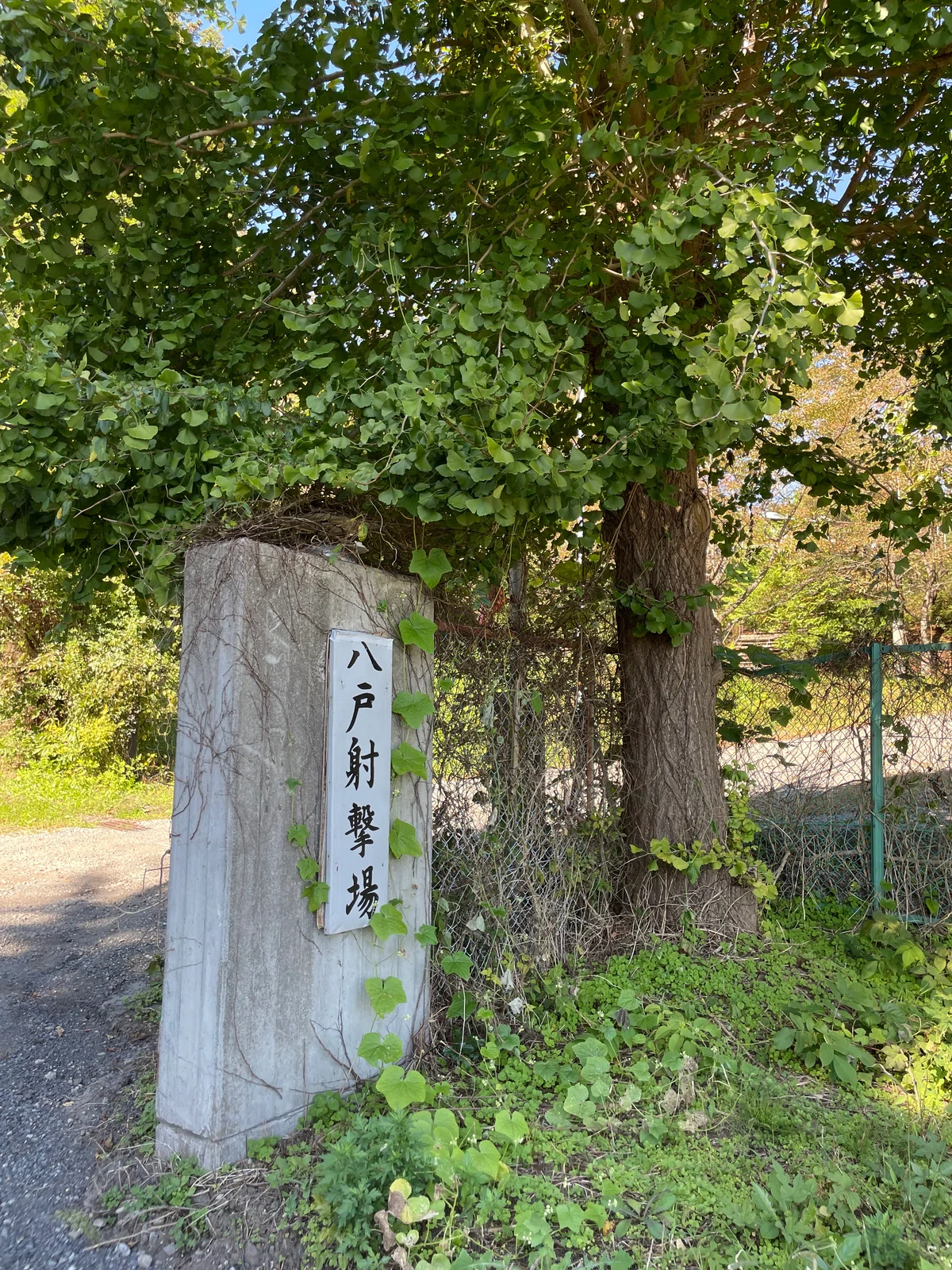 Report on Various Aspects of Shooting Training｜AKIKO KIMURA 木村晃子