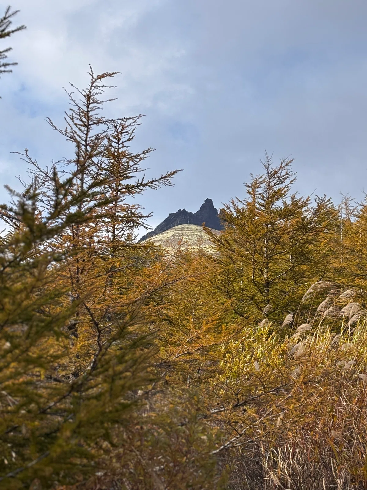 [Essay] The Image of Death Rolling on the Mountain｜柾