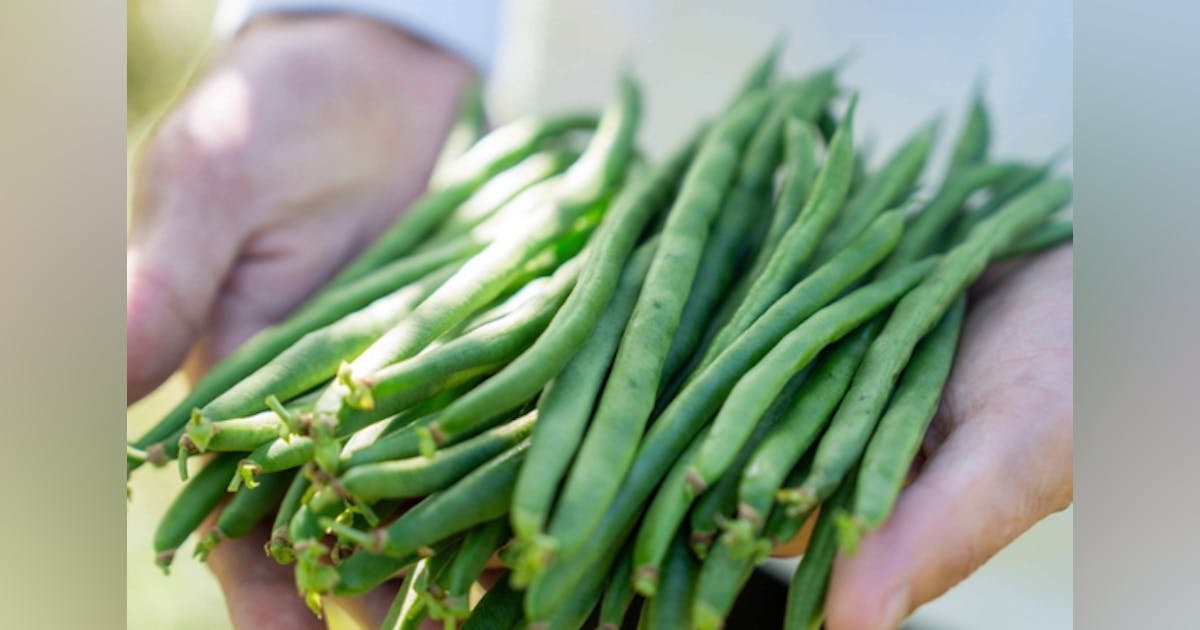 来年に向けてクラファン！｜Osada Takuya