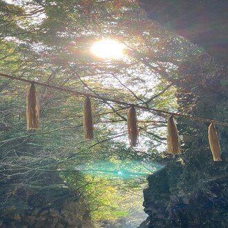 reading_rikako｜note