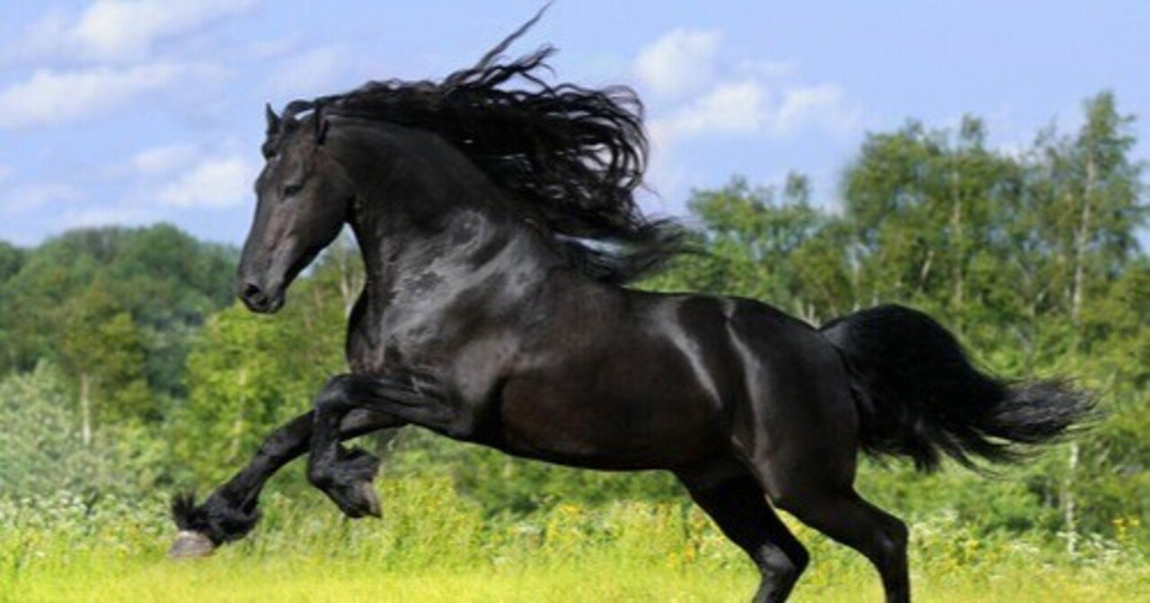 🐴中山2r💰🐴312（日）10時40分【信用度💰💰sss 】《指数予想・競馬予想☑》みんなと勝てますよう ※見解付き｜競馬予想 まなの