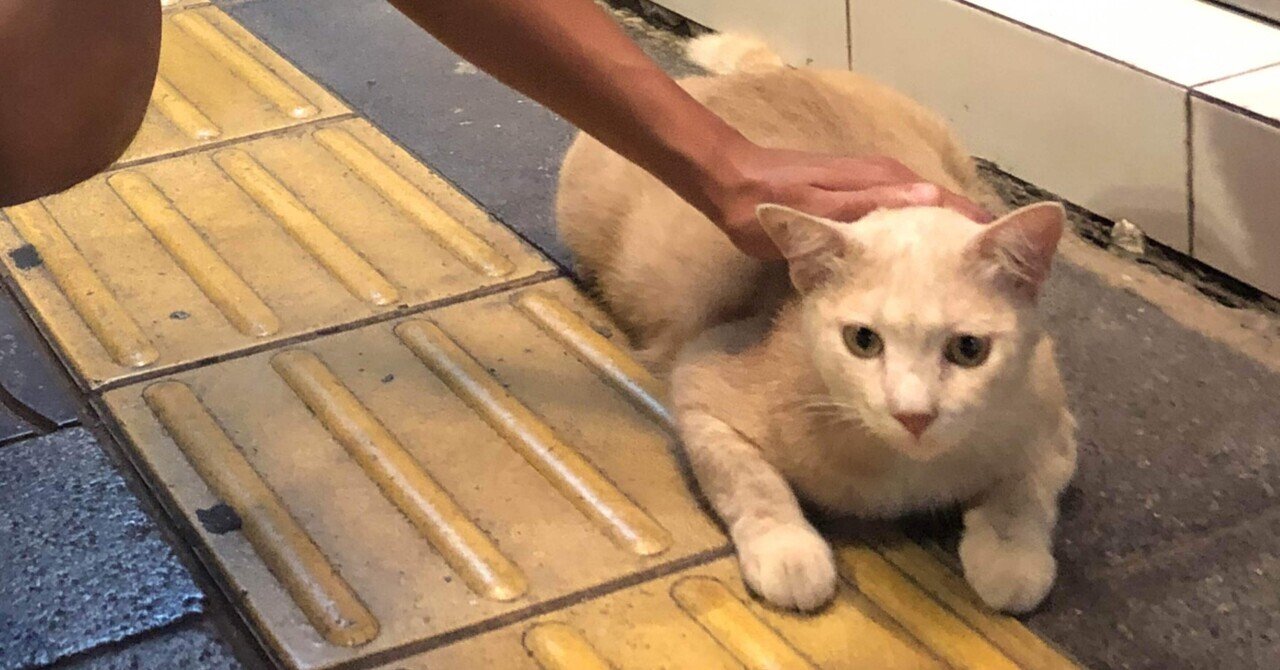 コントロールしたい気持ち｜11_spirit｜note