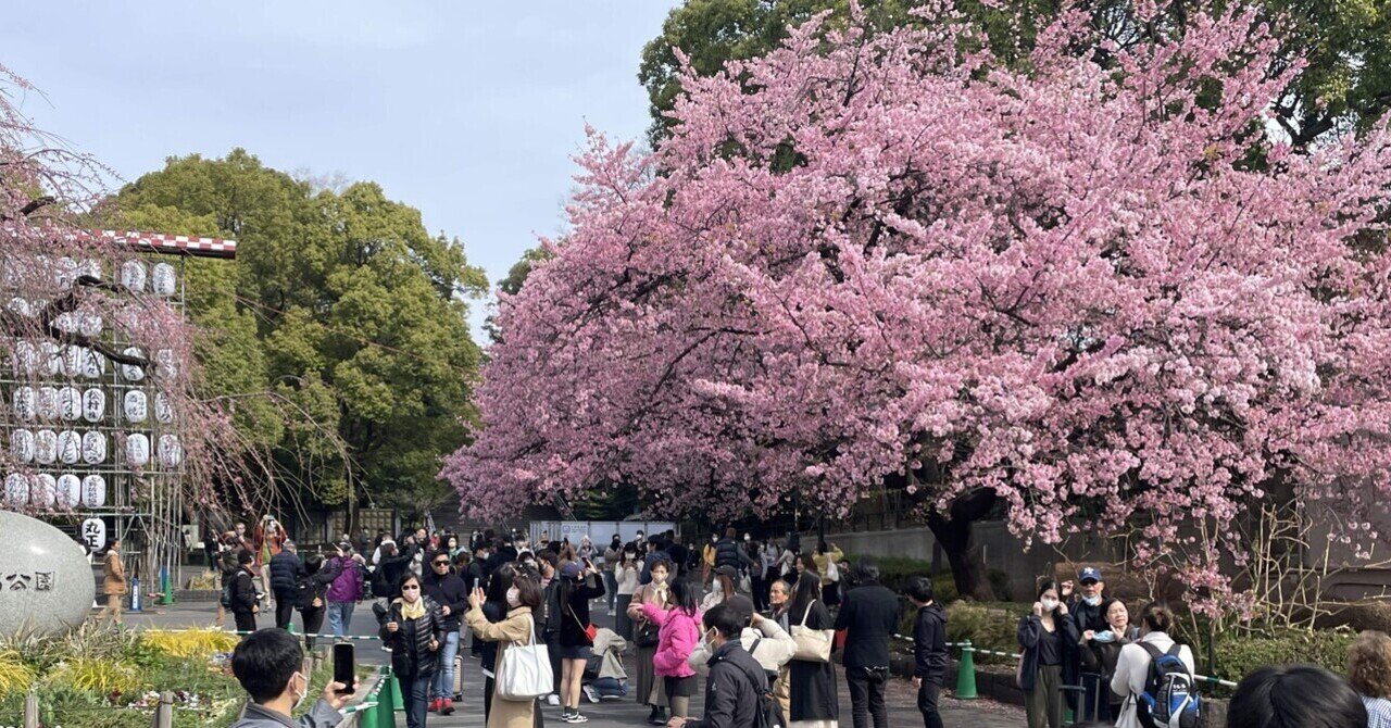 すっかり暖かい【養蜂生活695日目】｜yabusan（823）｜note