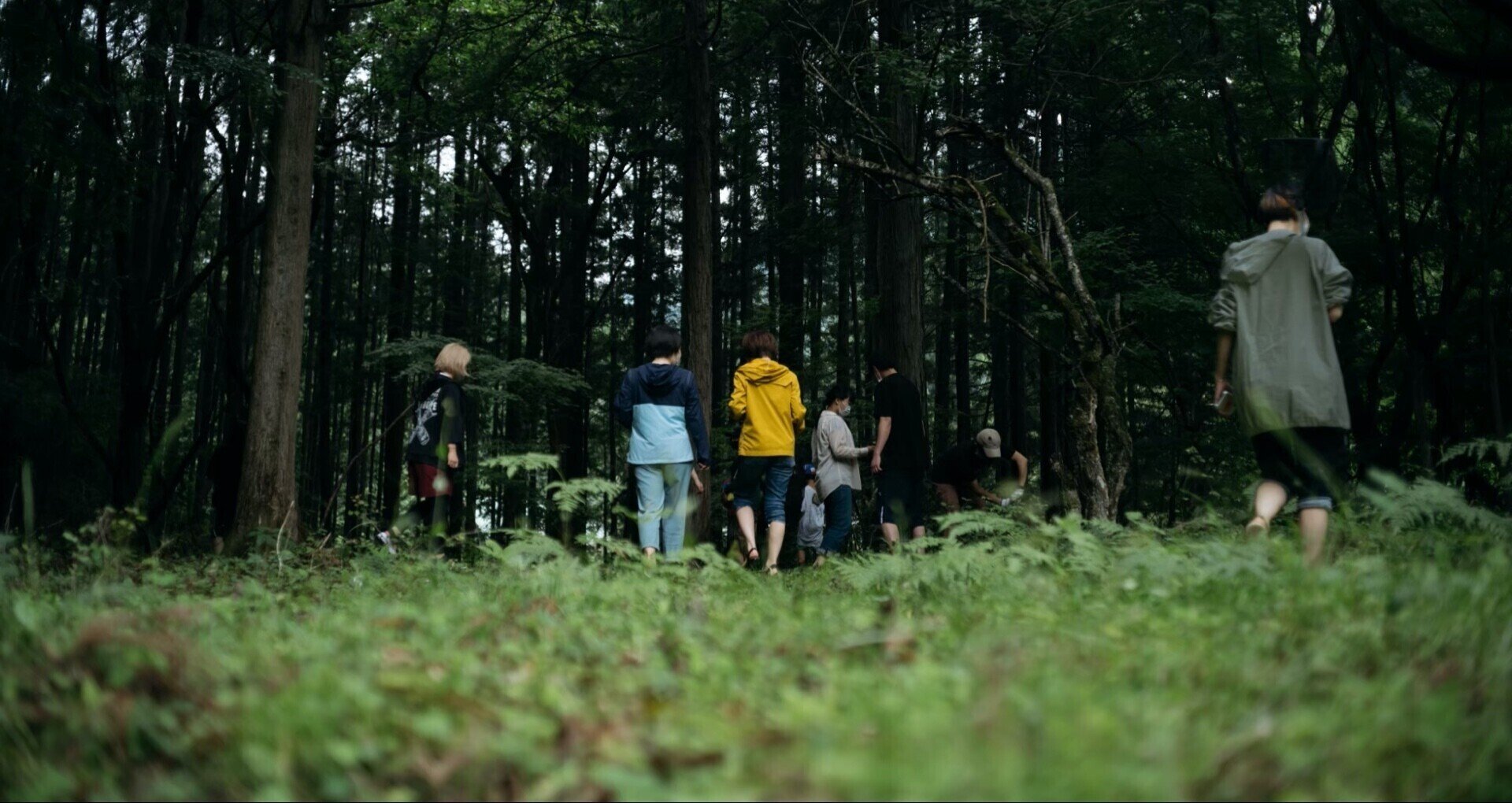 ANTCICADA（アントシカダ）｜note