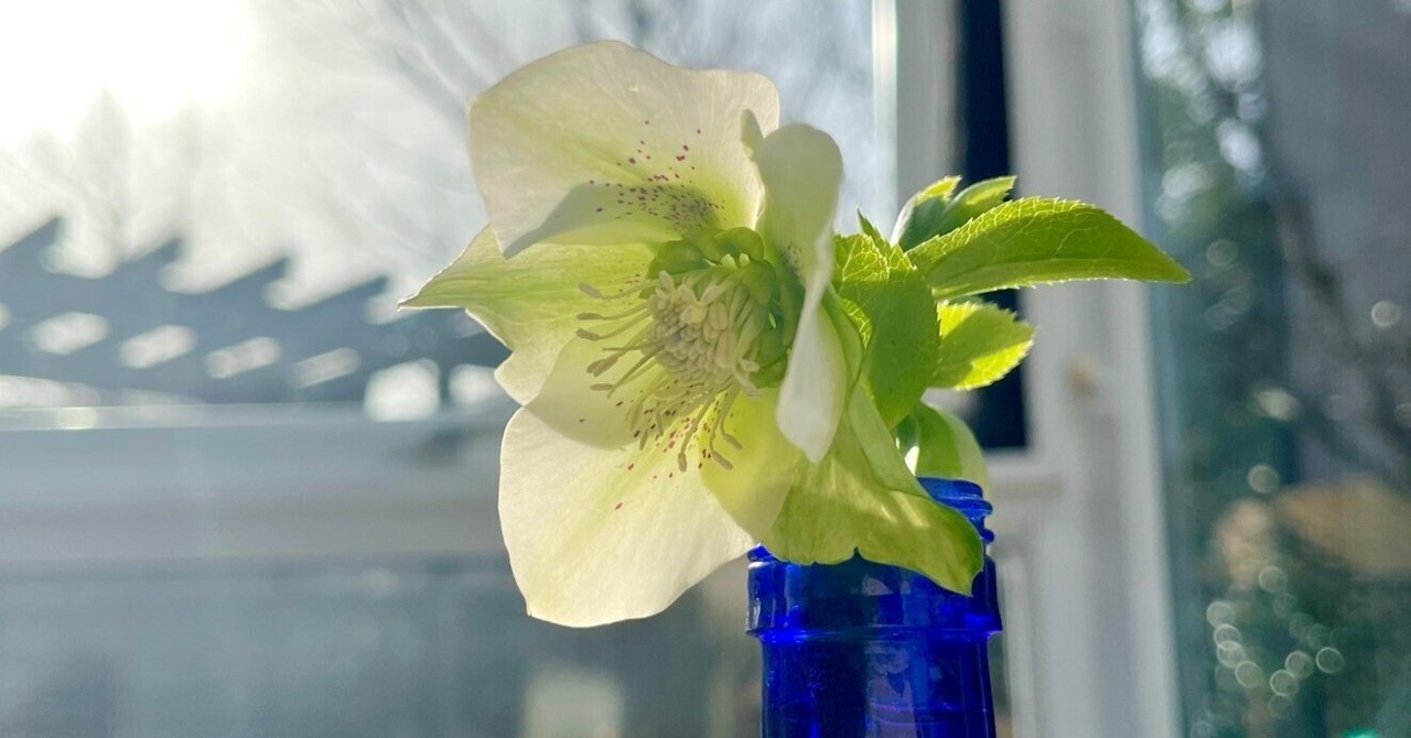 今日の1枚（2023/3/12）｜Chikako｜note