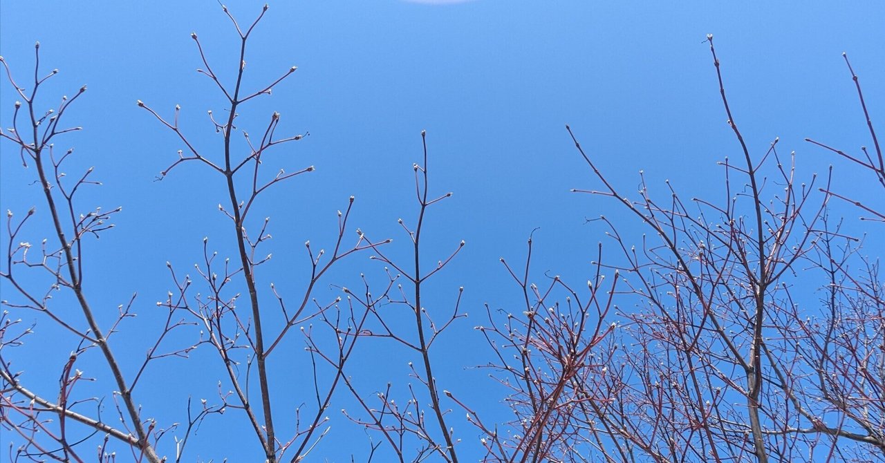 TypeScript 入門の記録（46）プロを目指す人のためのTypeScript入門（30）3章の力試し｜jnkykn