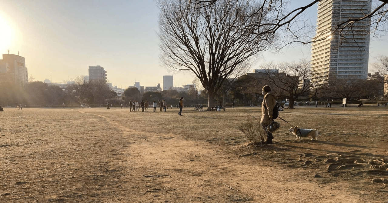 ゼロから始めるWebライターへの道（4日目）｜erimon｜note