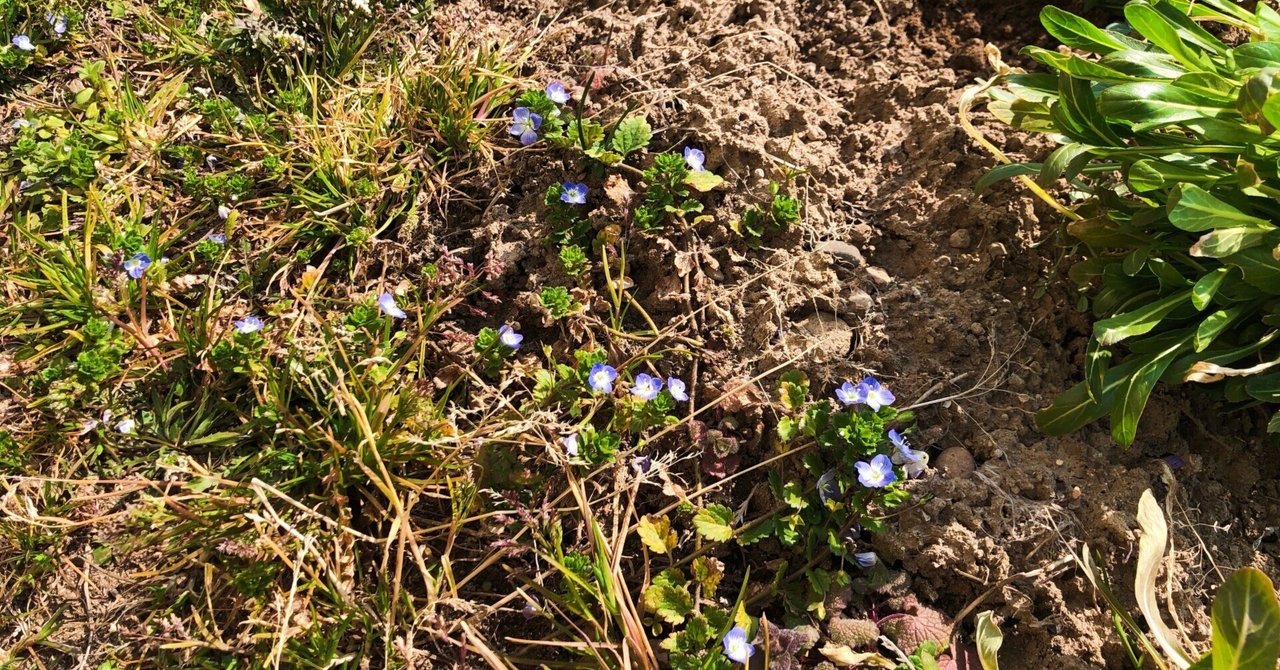 2023年5月の〈芦屋〉出張ロルフィングのお知らせ。｜Yuta_Otomo｜note