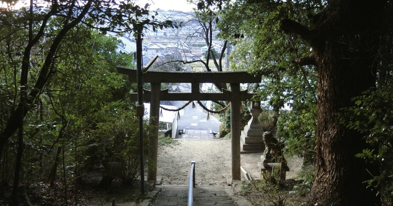 神カメラです EX-10。｜Daichi Okamoto