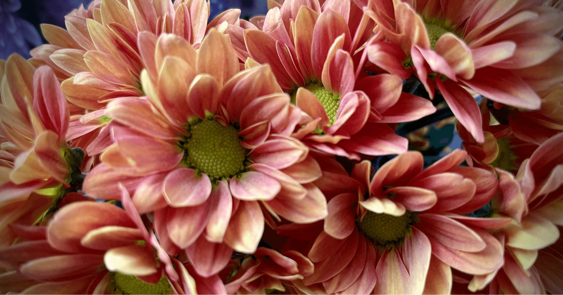 写真｜seiji_arita｜note