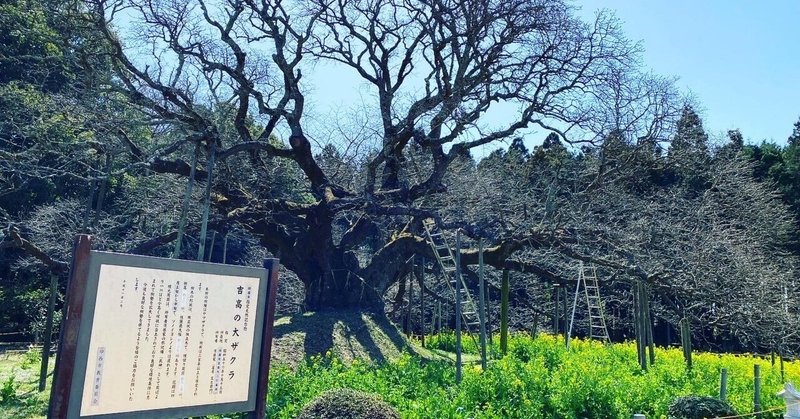 カブ日記① ツーリング中の燃費65km/lオーバーなんだが…。｜Mart Takeuchi｜元WEBライター・IT事業者、田舎暮らし満喫中！【毎日note更新】｜note