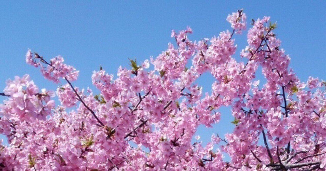 さらに春色｜mikelan