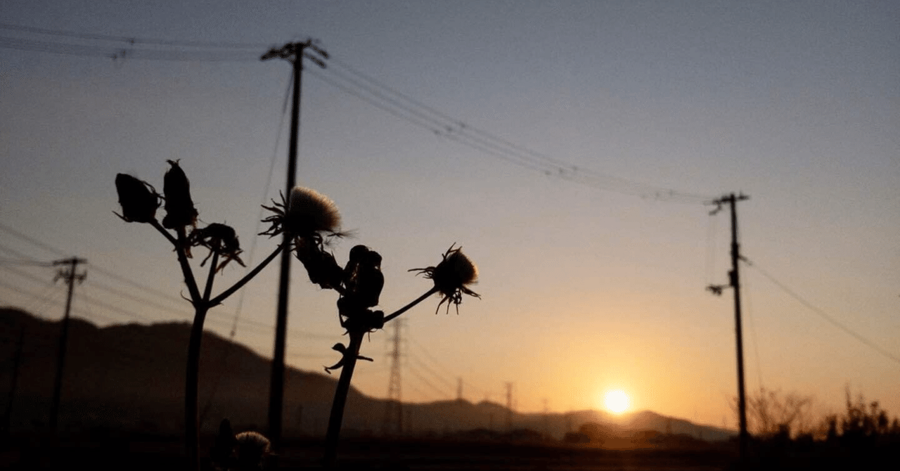 朝起きれない人へ試してほしい3つのこと｜erimon