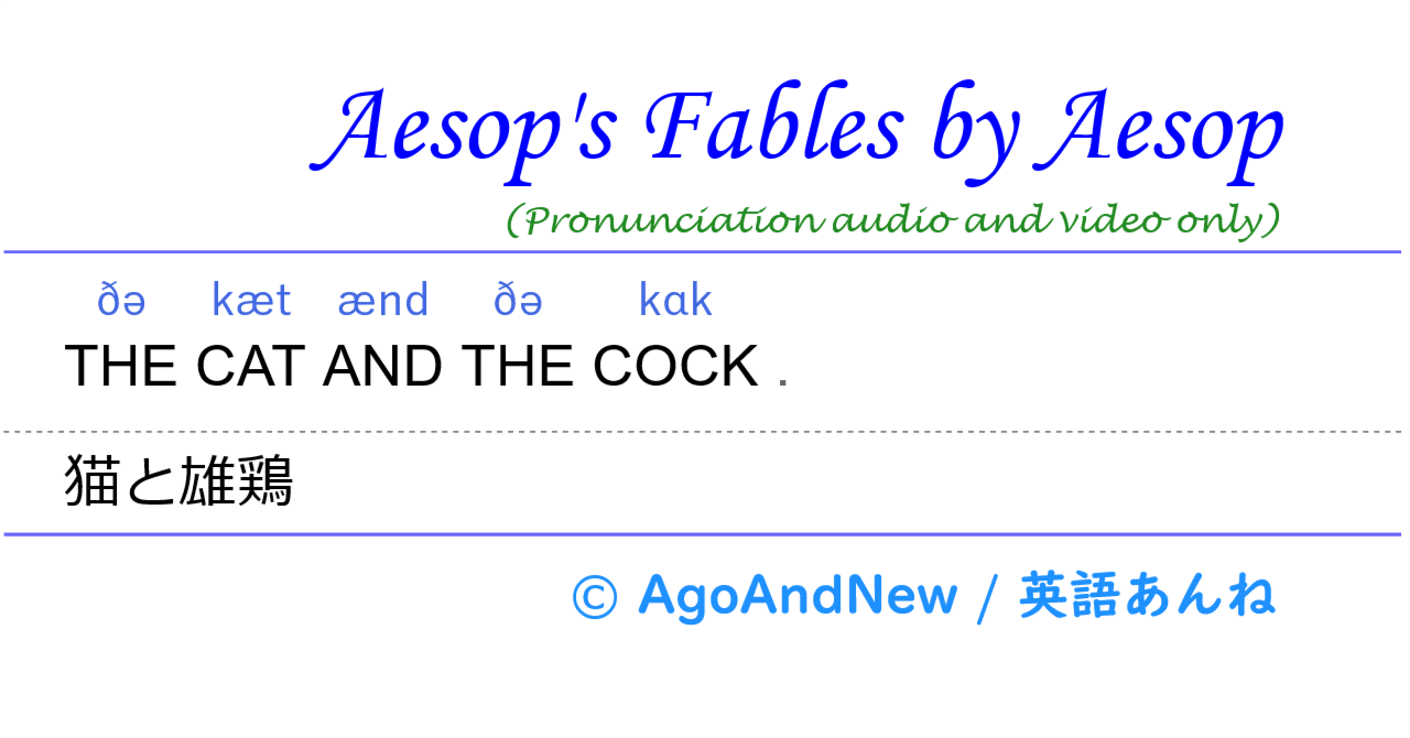 (aan,w040,⏩720p👍) 猫と雄鶏 / THE CAT AND THE COCK｜taka saito🎈｜note