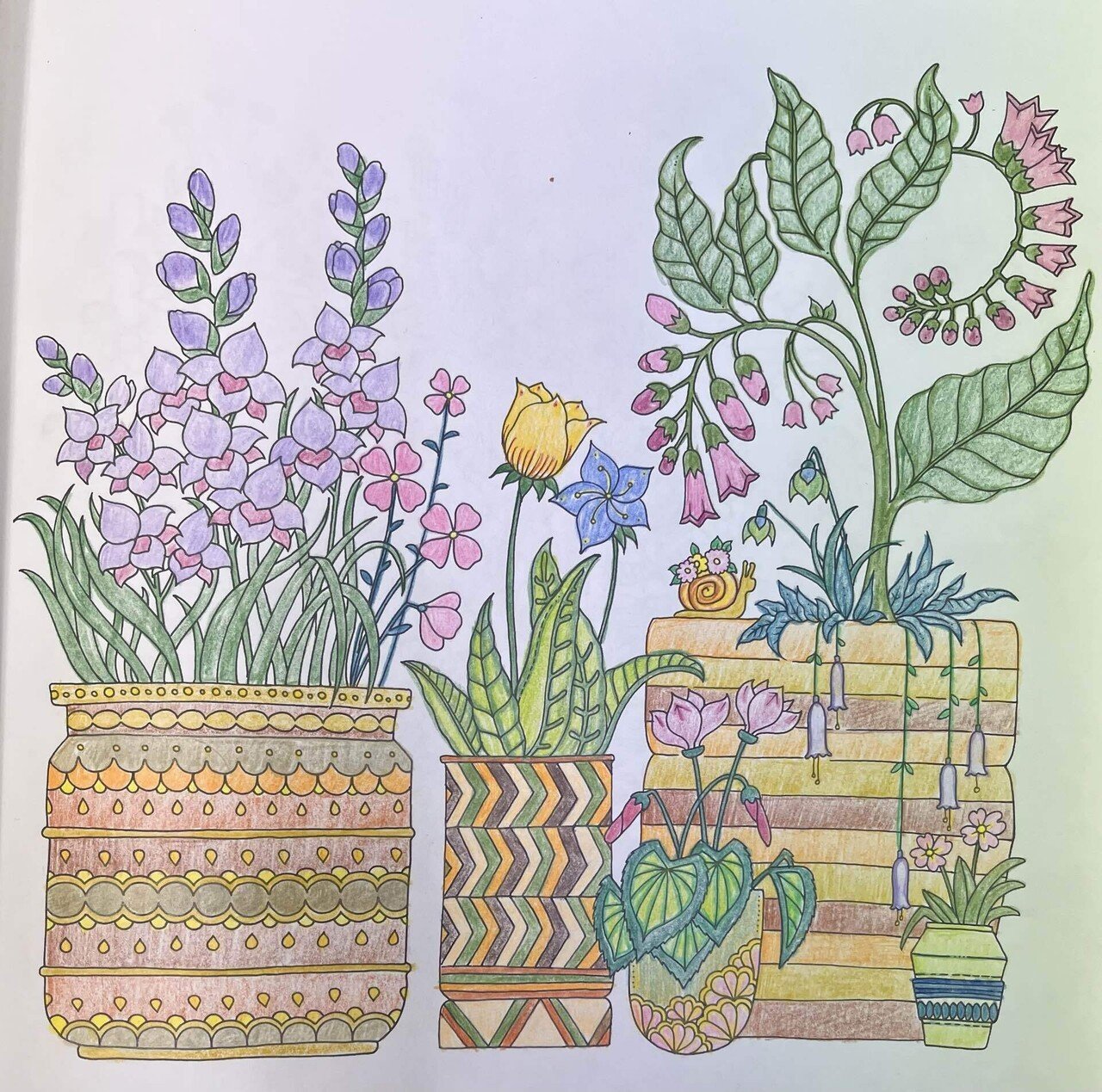 フラワーズが出来上がるまで。その8｜沙葉（sawa)｜note