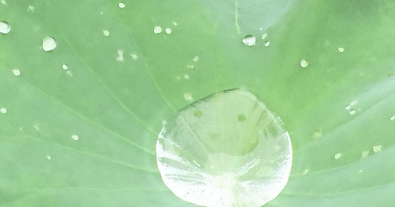 春色ーdrop｜葉音haon｜note