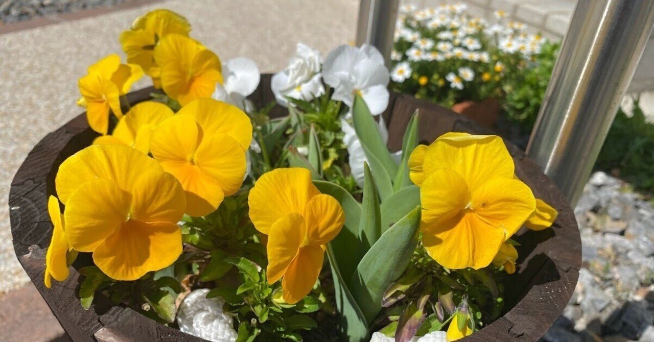 もうすぐ春ですね｜yucco｜note