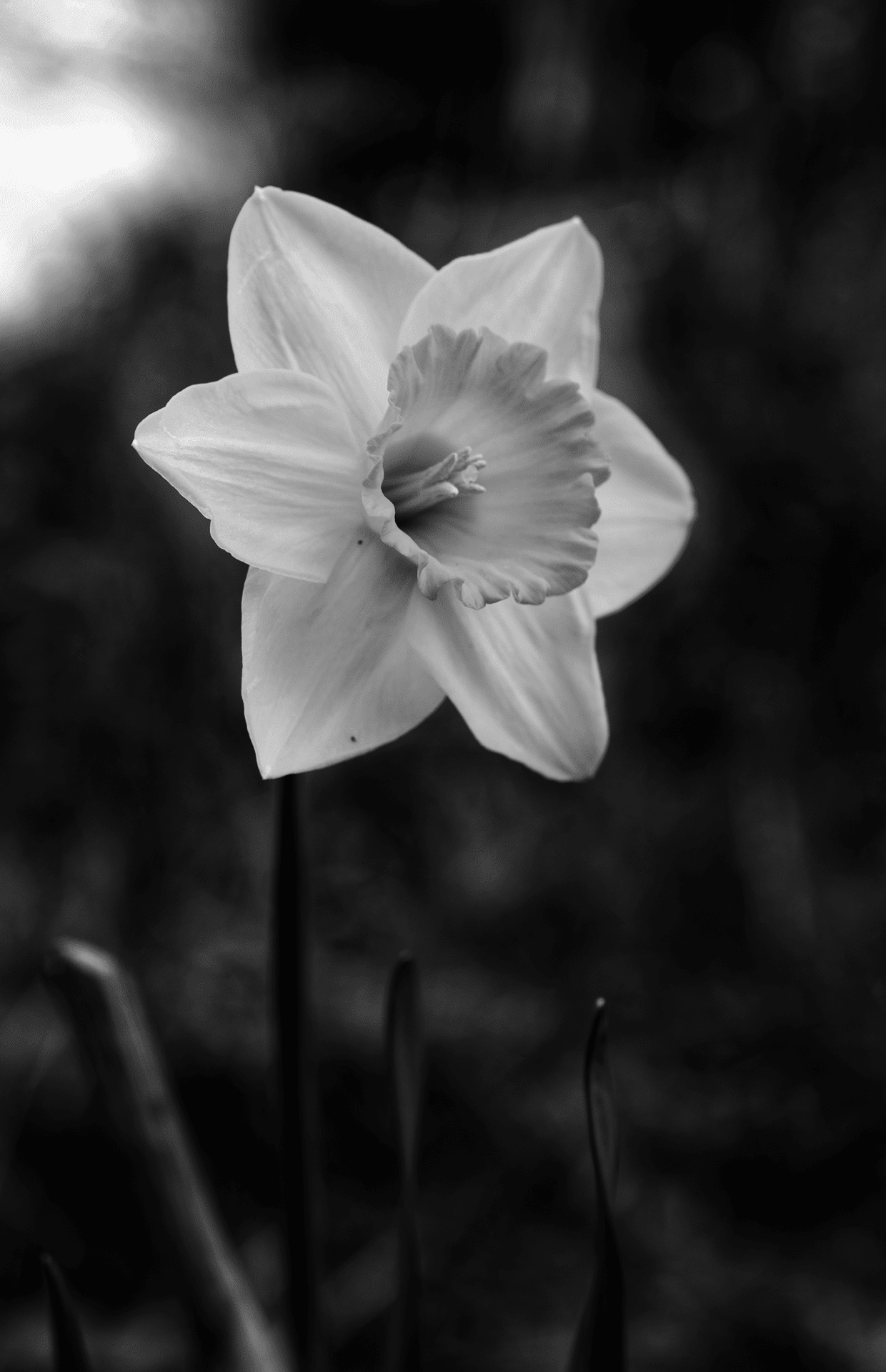 ひとり｜Yutaka Kano｜note