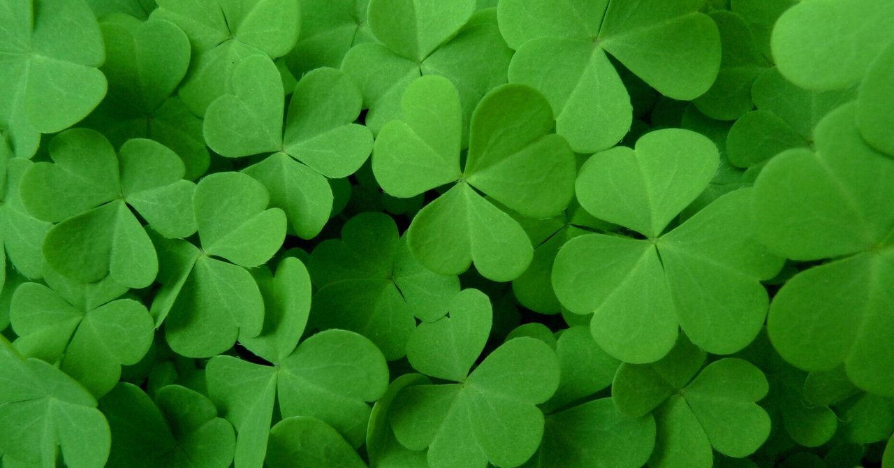 2023年3月17日『スピリチュアルな気づきに悟りを開く』｜岡部雅miyabi-okabe