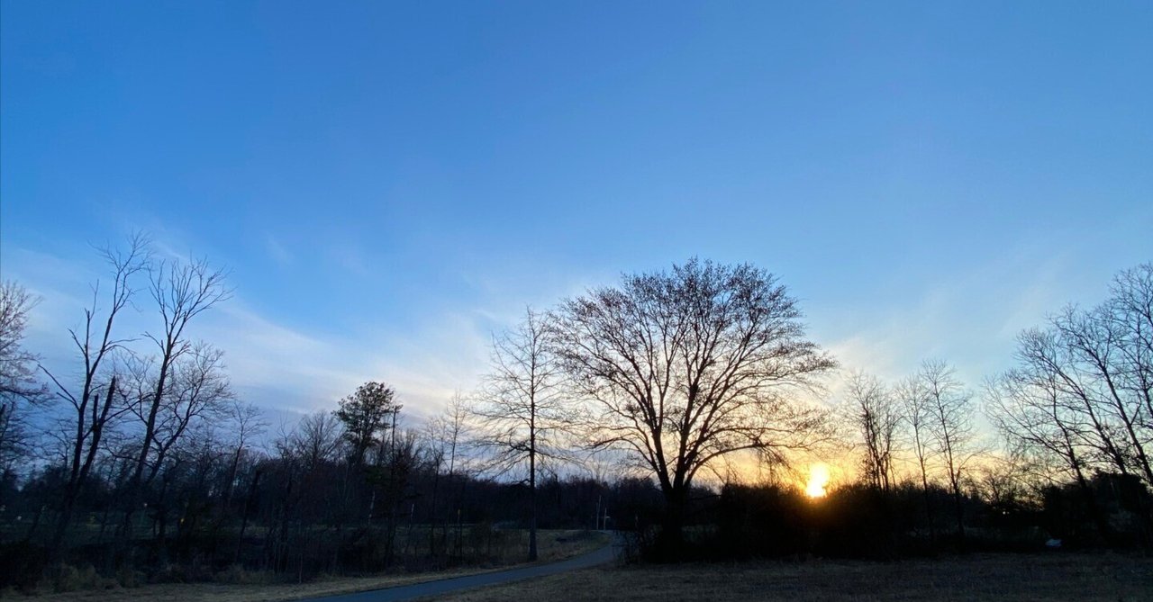 Day 45(of 56) アラフィフダイエット「8週間チャレンジ」：頑張ってはいけない。｜Chie｜note