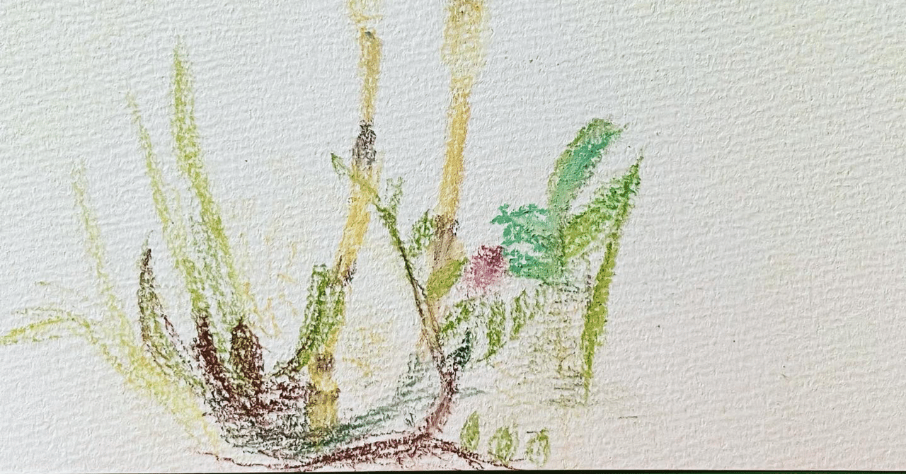 2023（令和5）年4月1日施行民法改正（相続放棄、940条）｜sunao