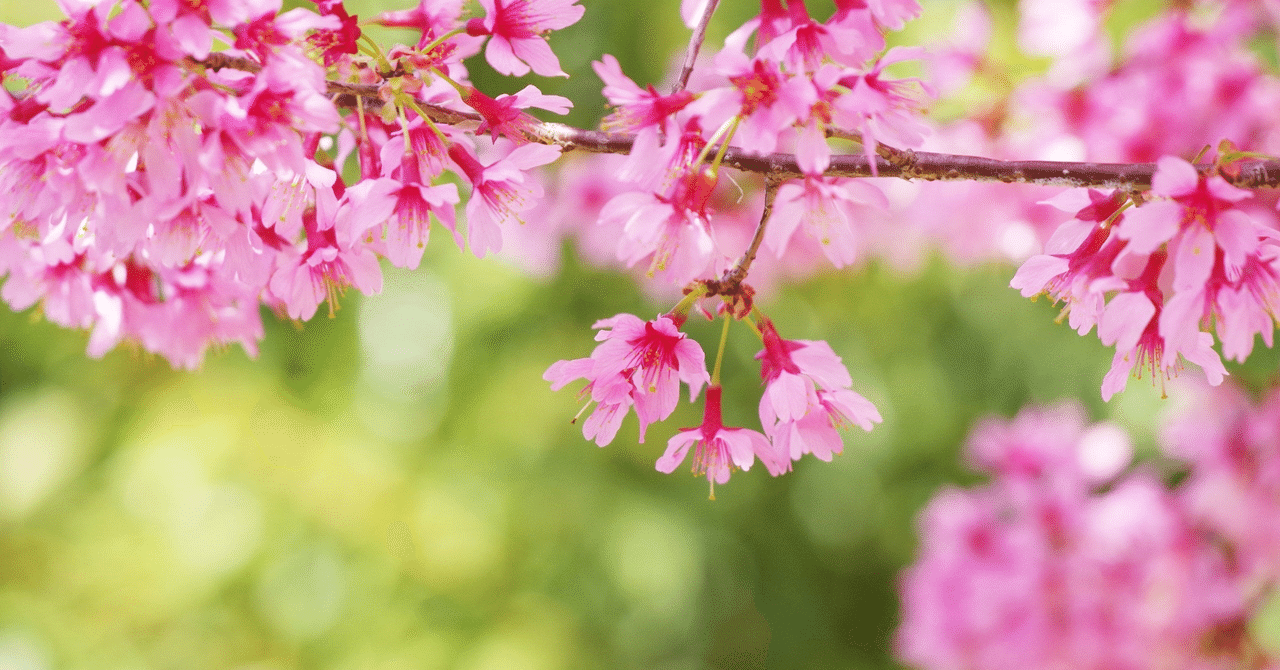 周囲のために自分が小さくなる必要はない〜安易に自分の意見に自分で価値をつけるのはやめたほうが良い〜｜Ryosuke Matsusima｜note