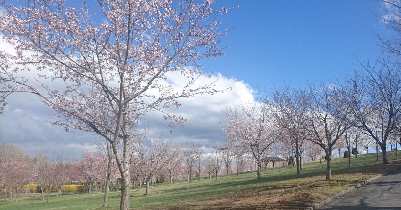 奇跡講座WB実践257 私の目的が何であるかを、思い出せますように｜(Linp&Ruru)本当の自分を知り、本当の自分として生きる｜note