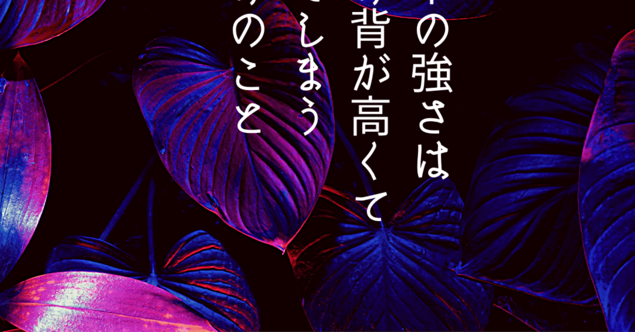 『強さ』ー詩ー｜cofumi（こふみ）詩＊作詞