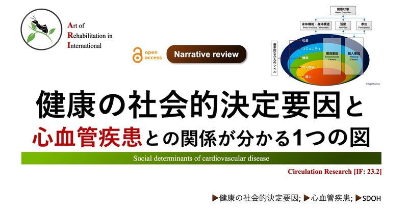 健康の社会的決定要因と心血管疾患との関係を示す1つの図|super Human 理学療法士/保健学博士 Phd