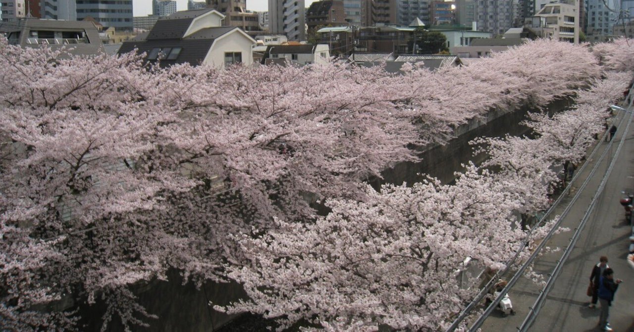 ChatGPTとペアプロした｜KY研究所@CoderDojo横浜港北ニュータウンやってます