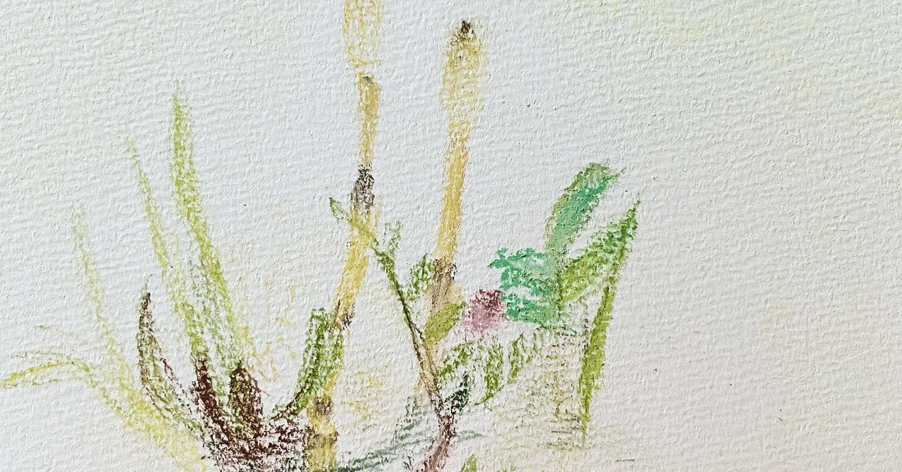 「なんかいい感じ」を見つけていく｜gorogoro_99｜note