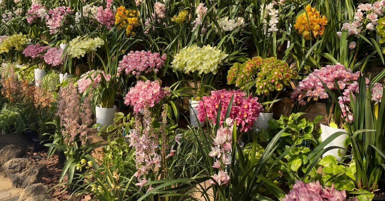 【旨み】｜KUBO｜note